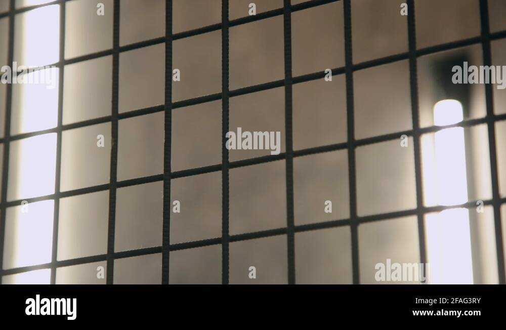 Cage inside interior Stock Videos & Footage - HD and 4K Video Clips - Alamy