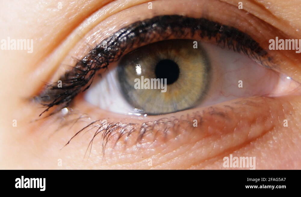 Narrow eyeball Stock Videos & Footage - HD and 4K Video Clips - Alamy