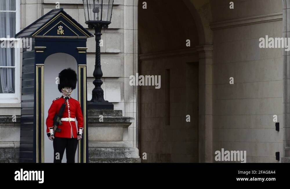 Buckingham palace guard close up Stock Videos & Footage - HD and 4K Video Clips - Alamy