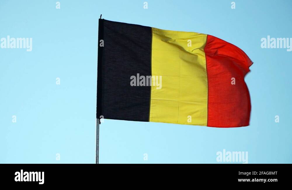 Belgian state flag Stock Videos & Footage - HD and 4K Video Clips - Alamy