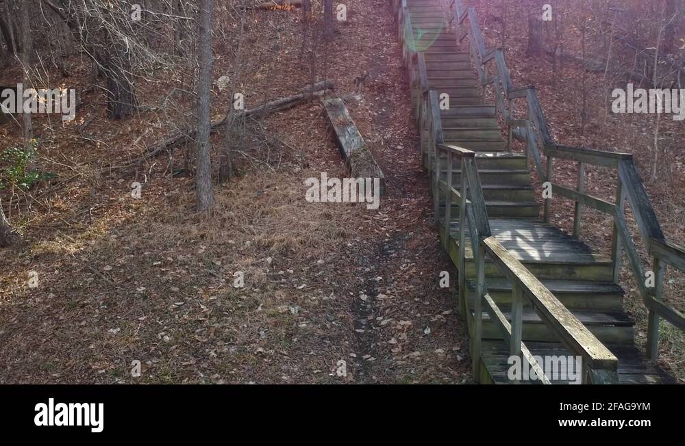 Wooden stairs in a forest Stock Videos & Footage - HD and 4K Video ...