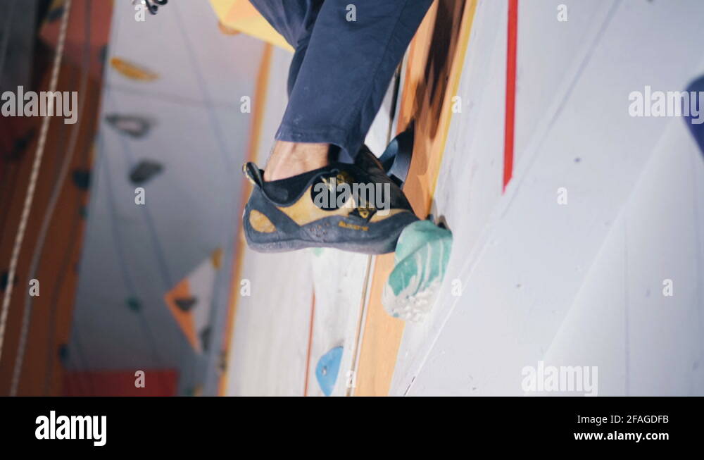 Muscles on rocks Stock Videos & Footage - HD and 4K Video Clips - Alamy