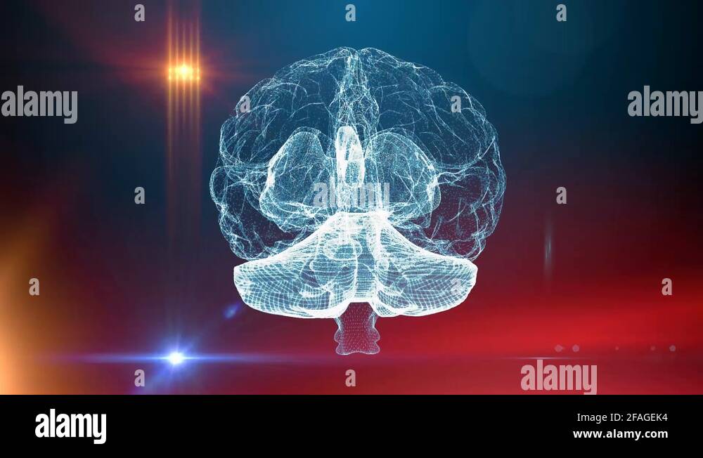 Brain synapse structure Stock Videos & Footage - HD and 4K Video Clips ...