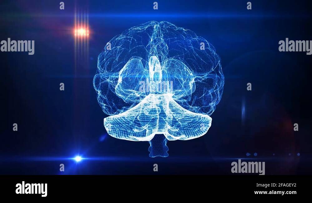 Neural axon Stock Videos & Footage - HD and 4K Video Clips - Alamy