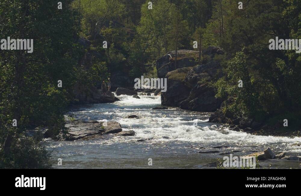 Forrest river Stock Videos & Footage - HD and 4K Video Clips - Alamy