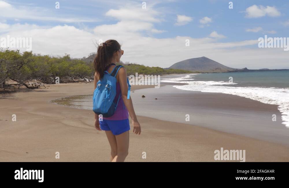 Santiago beach galapagos Stock Videos & Footage - HD and 4K Video Clips ...