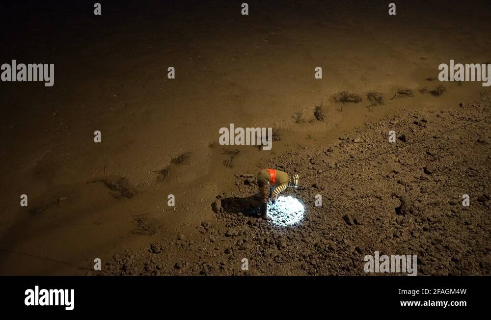 Collecting clams Stock Videos & Footage - HD and 4K Video Clips - Alamy