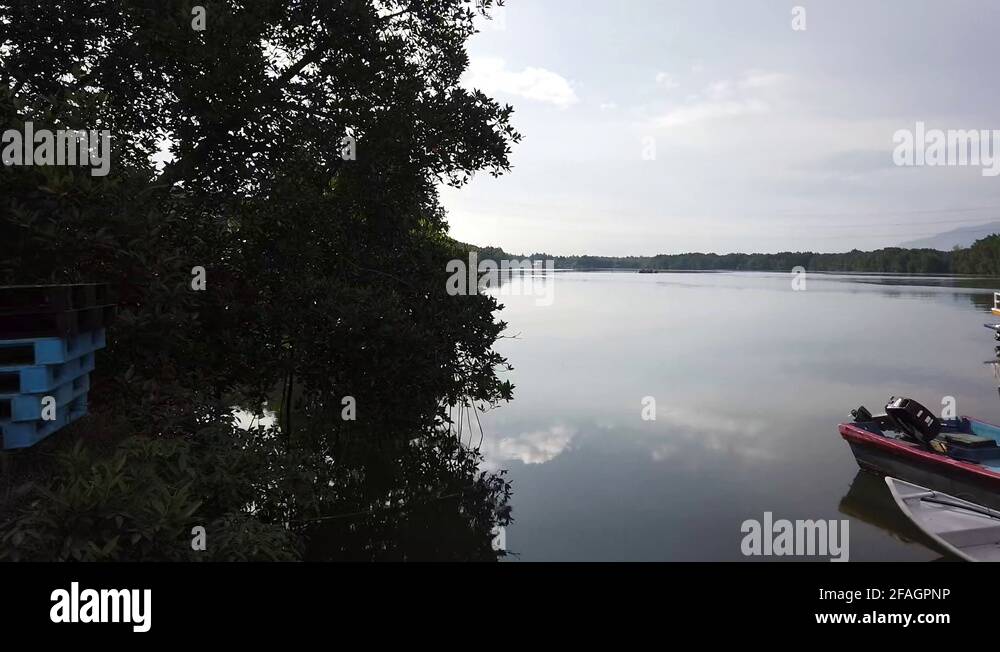 An evening at River Semeling, Kedah, Malaysia Stock Video Footage - Alamy