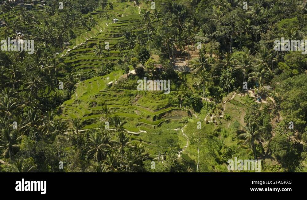 Balinese landscape Stock Videos & Footage - HD and 4K Video Clips - Alamy