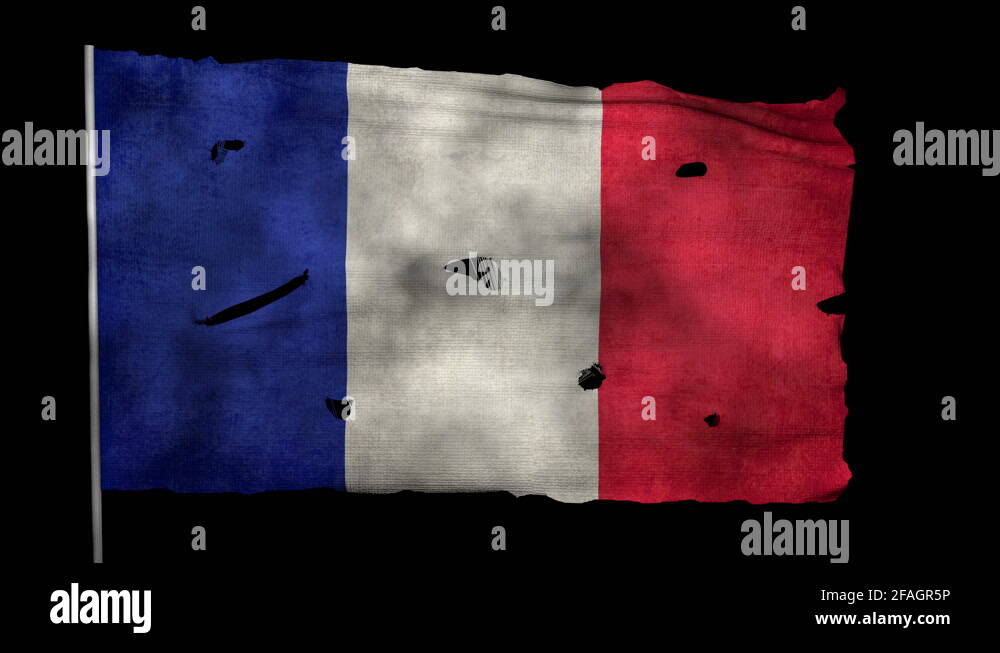 French flag waving 3d Stock Videos & Footage - HD and 4K Video Clips ...