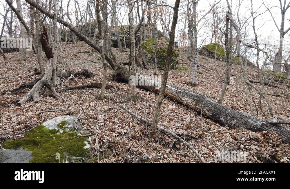 Hill with no trees Stock Videos & Footage - HD and 4K Video Clips - Alamy