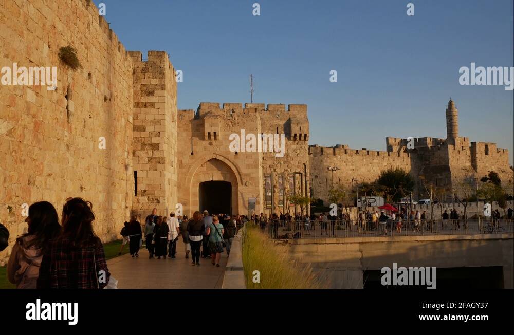 View through the middle gate Stock Videos & Footage - HD and 4K Video ...