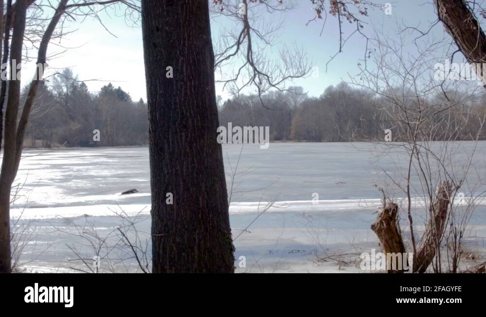 Pass tree Stock Videos & Footage - HD and 4K Video Clips - Alamy