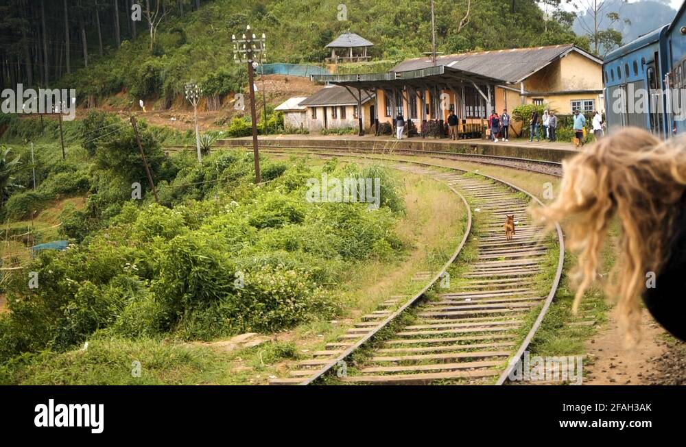 Ella railway station Stock Videos & Footage - HD and 4K Video Clips - Alamy