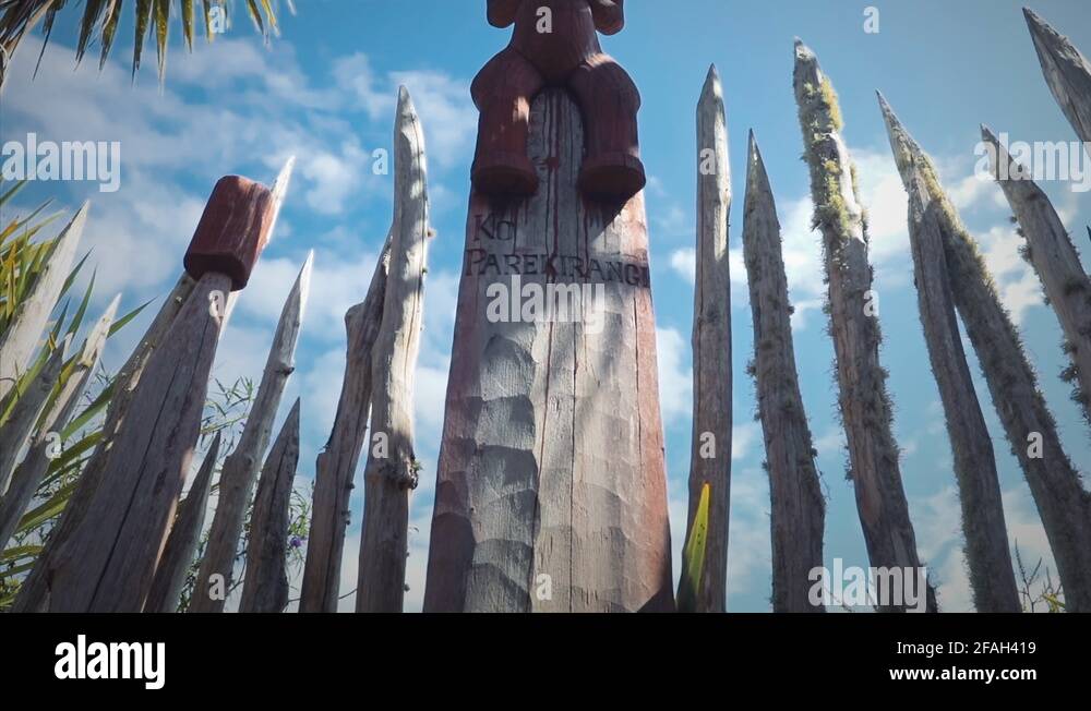 Native maori carving in Hamilton gardens. Waikato, Hamilton Stock Video ...