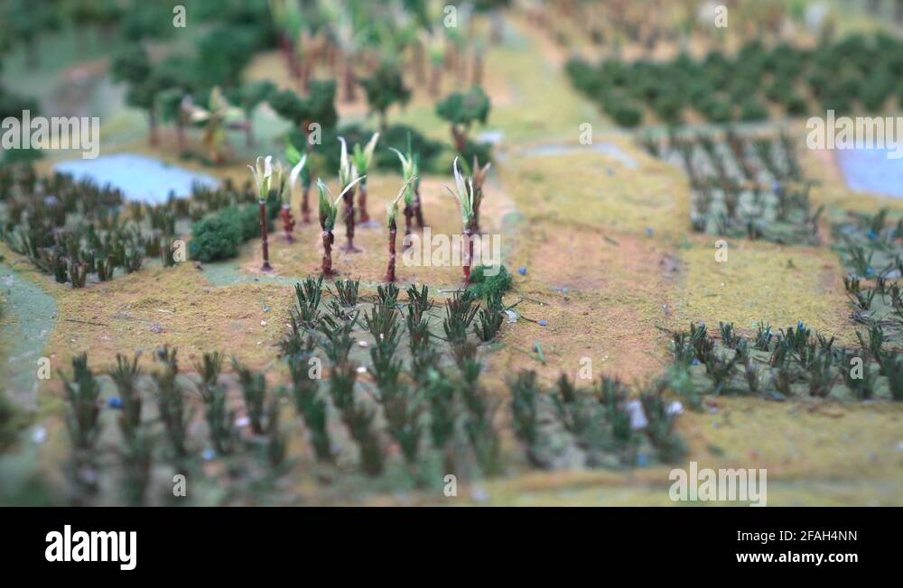 Scale model village Stock Videos & Footage - HD and 4K Video Clips - Alamy