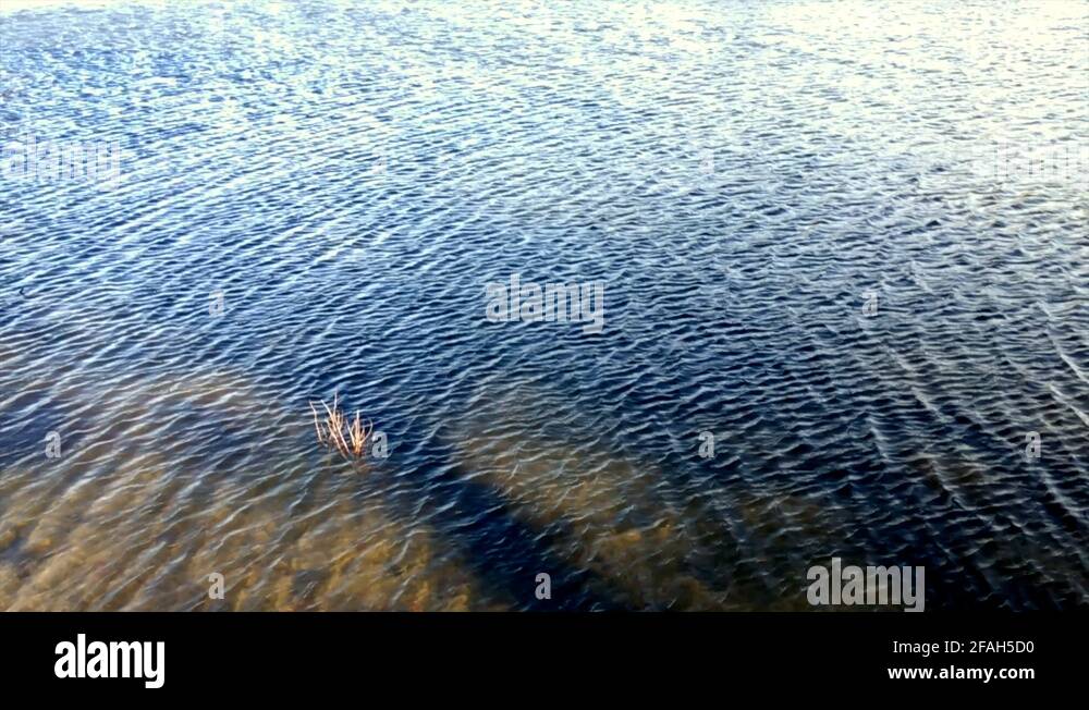 Green ripples Stock Videos & Footage - HD and 4K Video Clips - Alamy