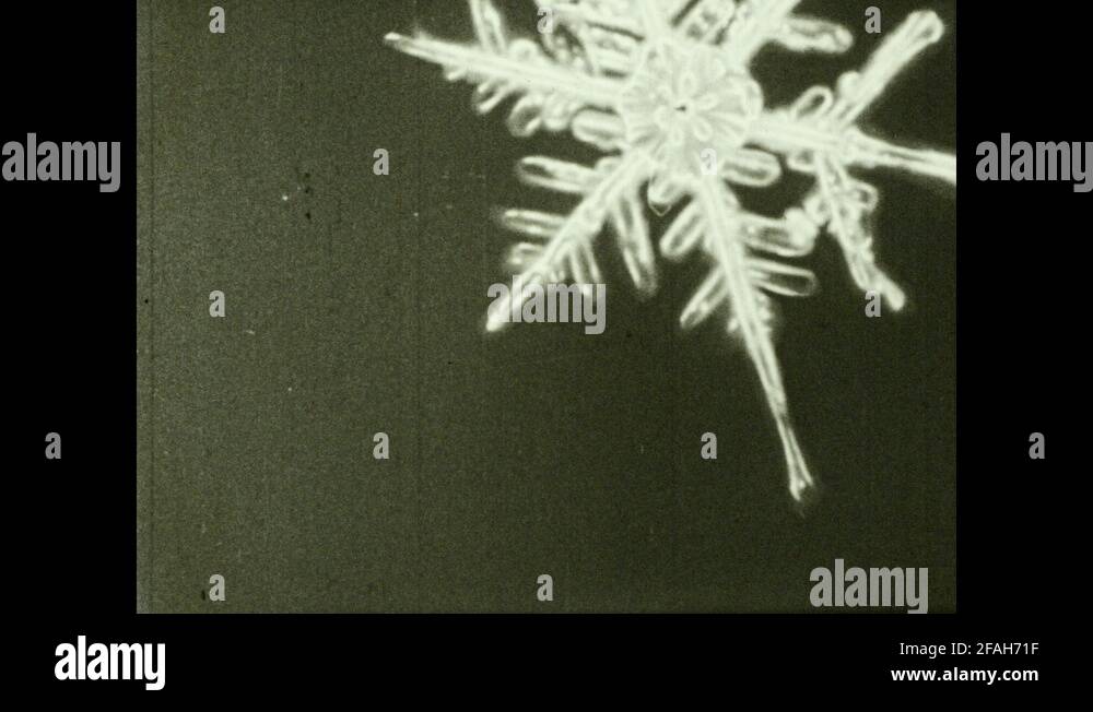 1930s: UNITED STATES: snow flakes under microscope. Six-rayed structure ...