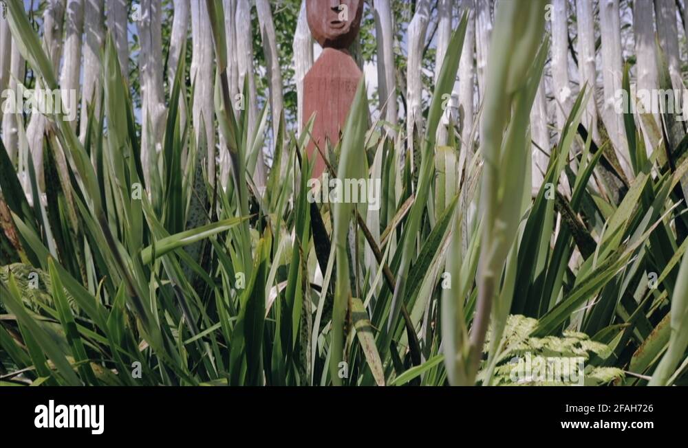 Native maori carving in Hamilton gardens. Waikato, Hamilton Stock Video ...