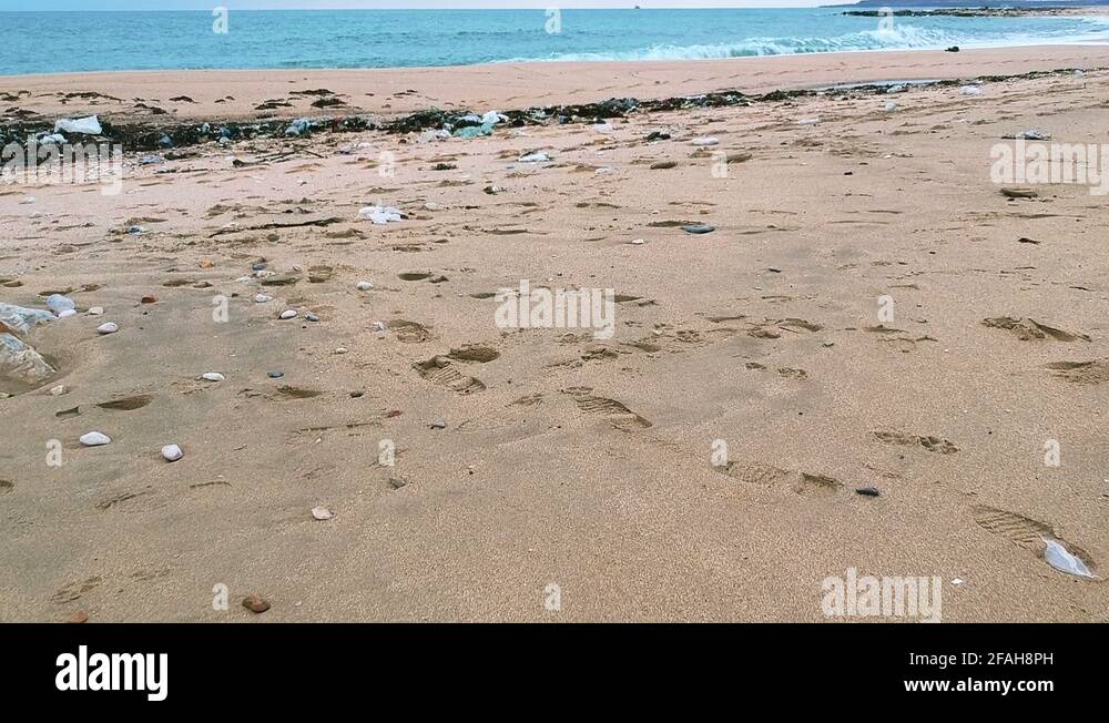 Sandy ecosystem Stock Videos & Footage - HD and 4K Video Clips - Alamy