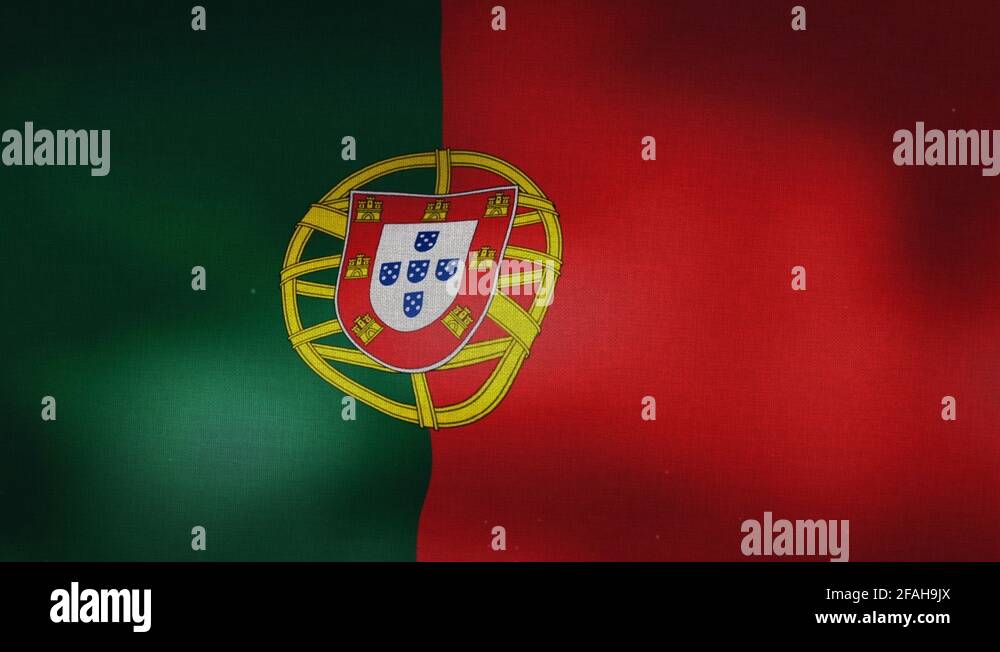 National symbols of portugal Stock Videos & Footage - HD and 4K Video ...