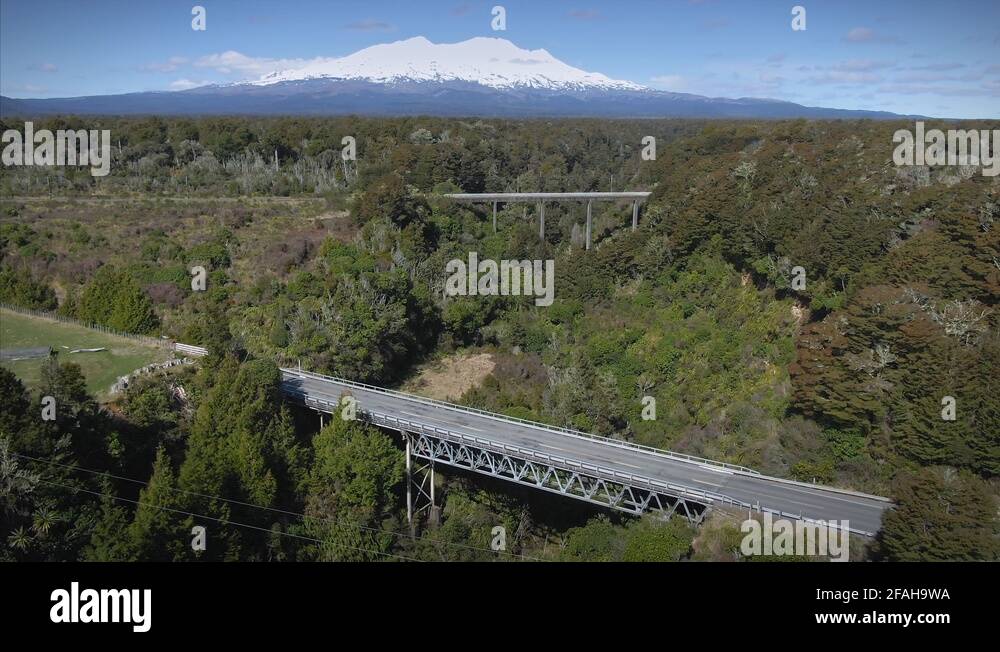 Tongariro forest Stock Videos & Footage - HD and 4K Video Clips - Alamy