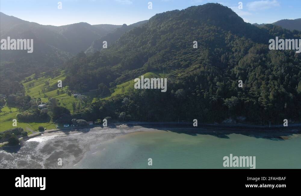 Waitakere ranges new zealand Stock Videos & Footage - HD and 4K Video ...