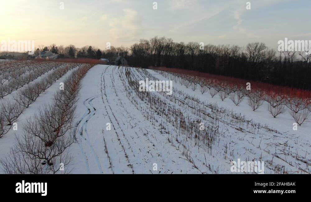 Winter lit Stock Videos & Footage - HD and 4K Video Clips - Alamy