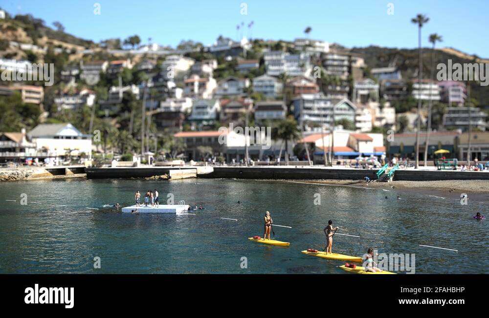 Kids Playing on Catalina Island Tilt Shift Timelapse 4k Stock Video ...