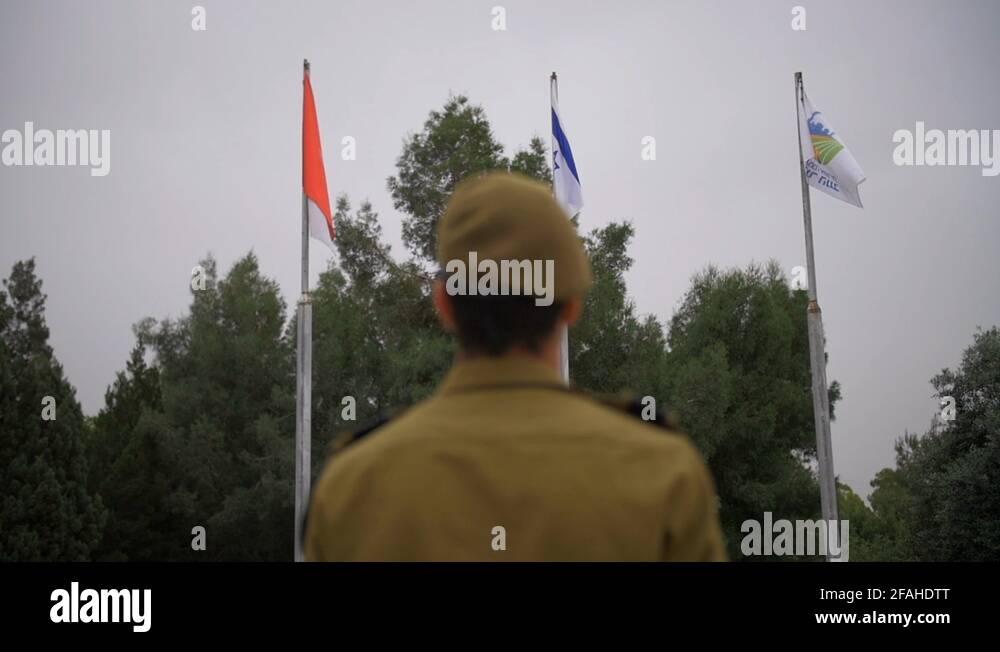 Soldier standing to attention Stock Videos & Footage - HD and 4K Video ...