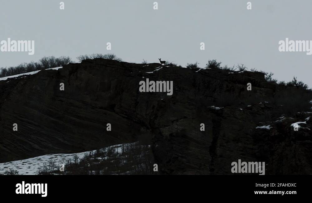 High cliff ledge Stock Videos & Footage - HD and 4K Video Clips - Alamy