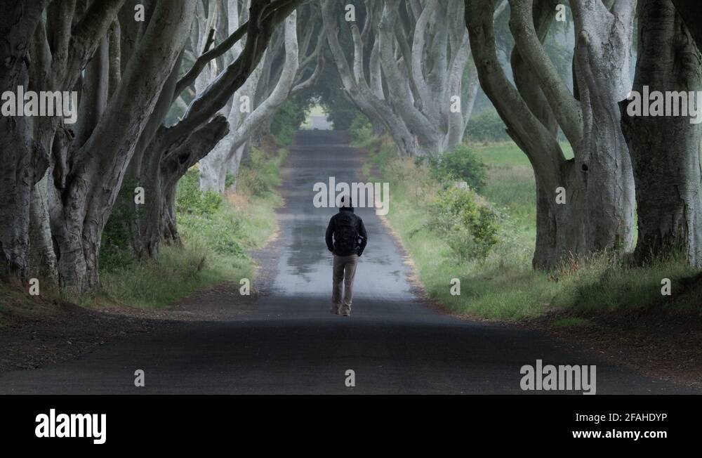 Walking down tree Stock Videos & Footage - HD and 4K Video Clips - Alamy