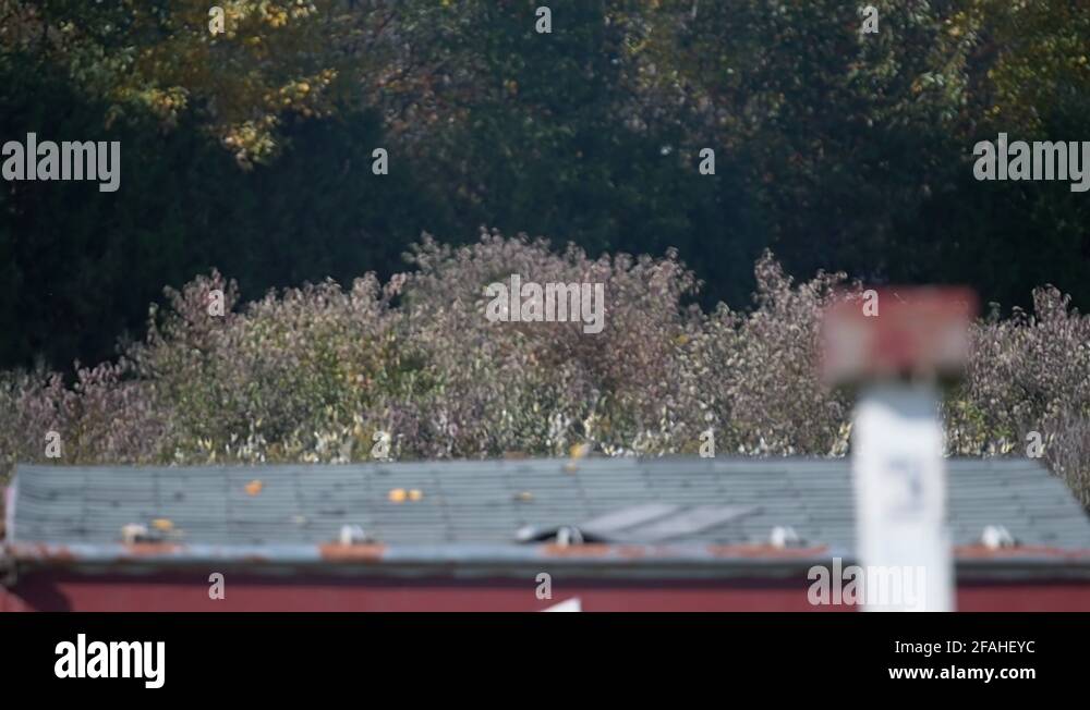 Target disk Stock Videos & Footage - HD and 4K Video Clips - Alamy