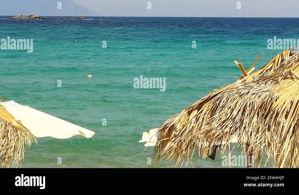 Windy beach Stock Videos & Footage - HD and 4K Video Clips - Alamy
