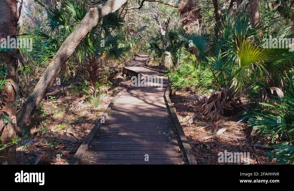 Elevated nature trail Stock Videos & Footage - HD and 4K Video Clips ...