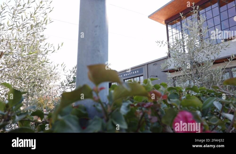 Frog house Stock Videos & Footage - HD and 4K Video Clips - Alamy