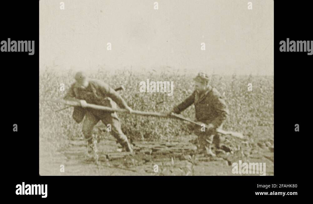 1930s: Man holds stick out to man stuck in mud. Men struggle to stand ...