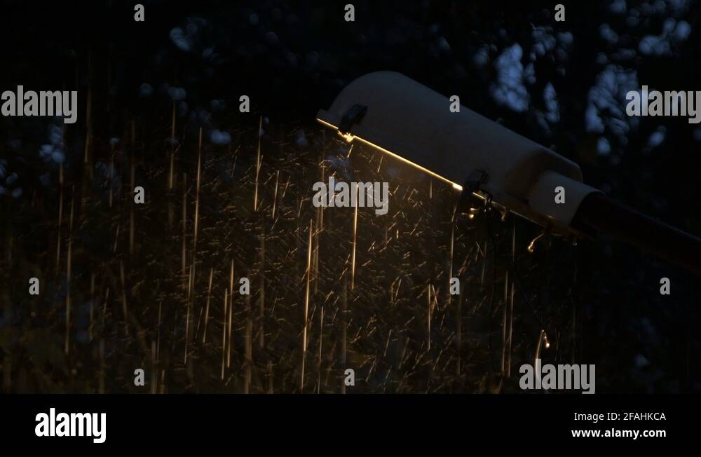 Sodium street lighting Stock Videos & Footage - HD and 4K Video Clips ...