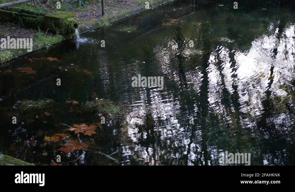 Natural water tank Stock Videos & Footage - HD and 4K Video Clips - Alamy