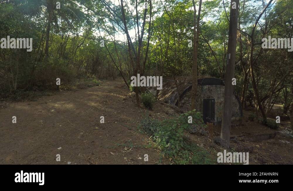 Bunker in the forest Stock Videos & Footage - HD and 4K Video Clips - Alamy