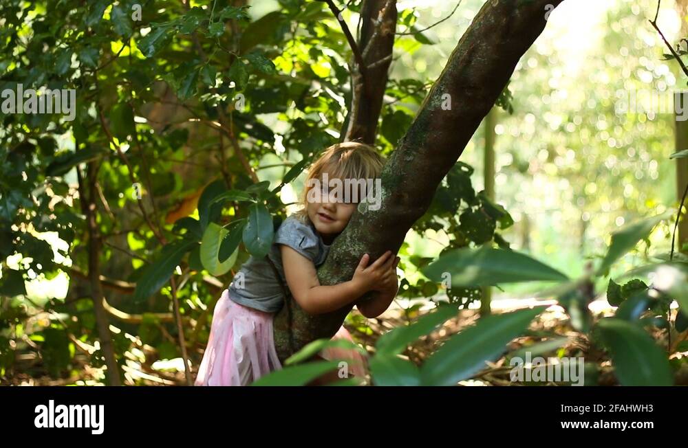 Dappled light and shade Stock Videos & Footage - HD and 4K Video Clips ...