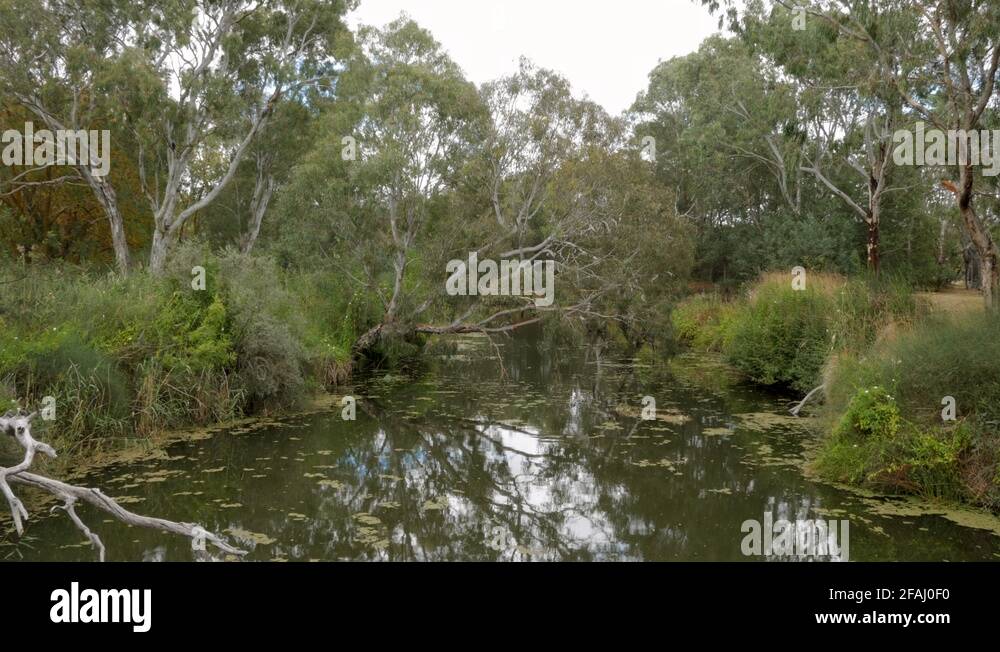 Beautiful still water Stock Videos & Footage - HD and 4K Video Clips ...
