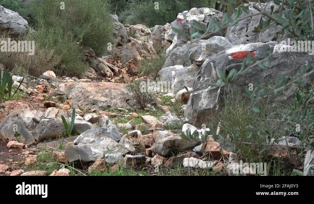 Sole marks Stock Videos & Footage - HD and 4K Video Clips - Alamy