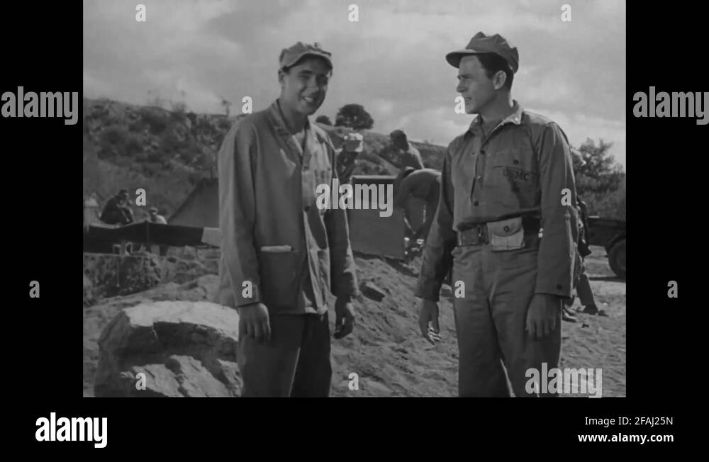 Care welfare officer Stock Videos & Footage - HD and 4K Video Clips - Alamy