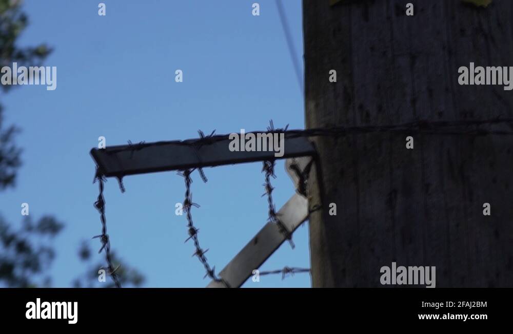 On a pylon Stock Videos & Footage - HD and 4K Video Clips - Alamy