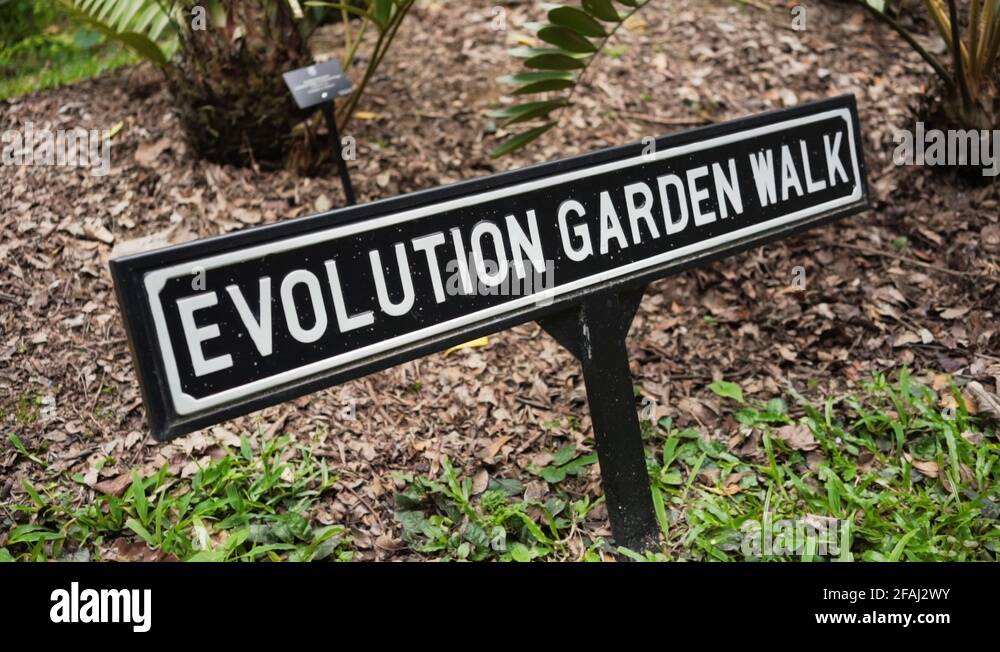 evolution garden walk sign singapore botanic gardens Stock Video ...