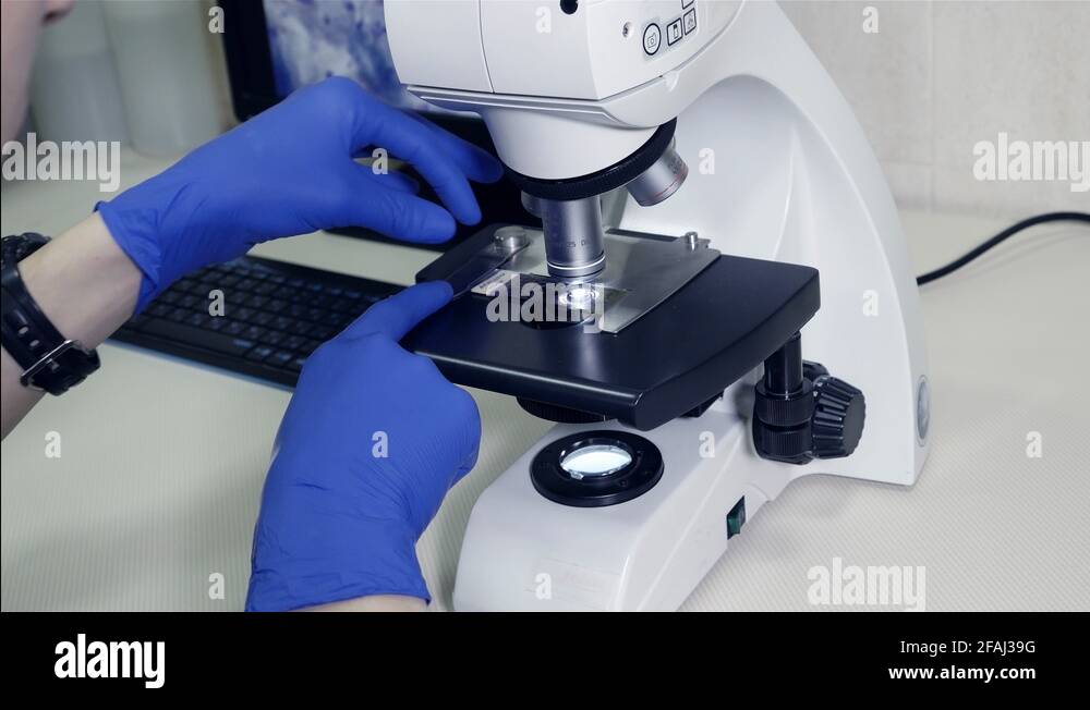 Forensic scientist lab Stock Videos & Footage - HD and 4K Video Clips ...