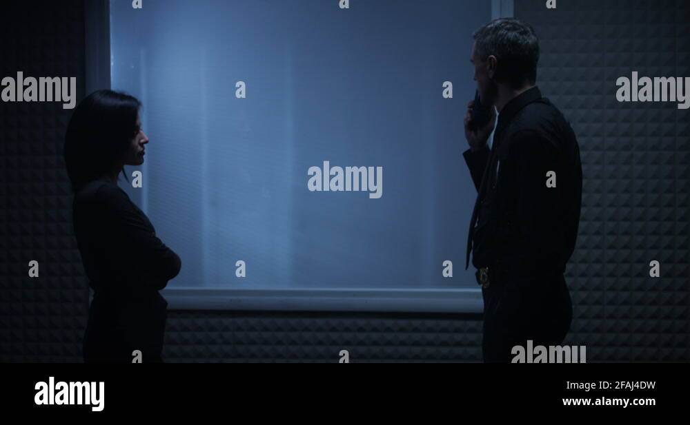 Identification identifying identify Stock Videos & Footage - HD and 4K ...