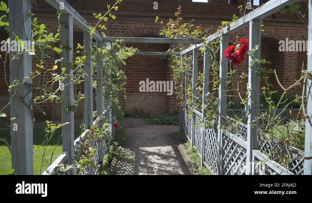 Rose castle Stock Videos & Footage - HD and 4K Video Clips - Alamy