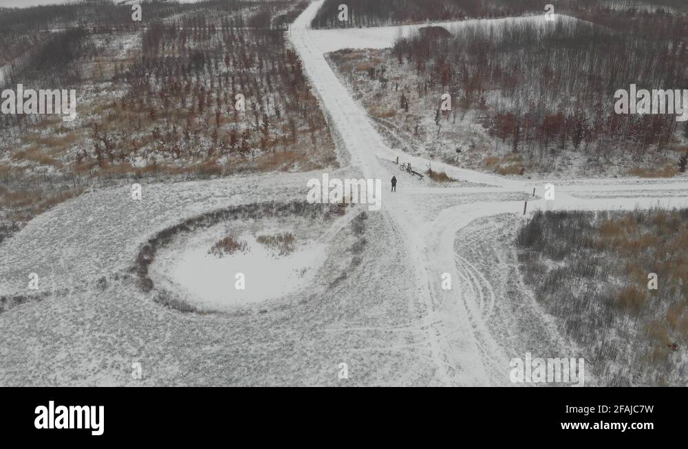 Snow winter cold trees Stock Videos & Footage - HD and 4K Video Clips ...